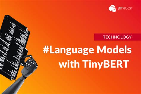 efficient language models with tinybert and databricks bitrock
