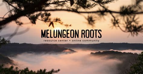 Henry Morgan Melungeon Roots