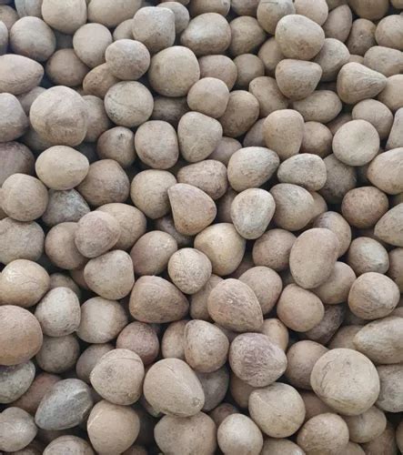 Whole Ball Copra At ₹ 170 Kg In Udupi Id 2855024077197