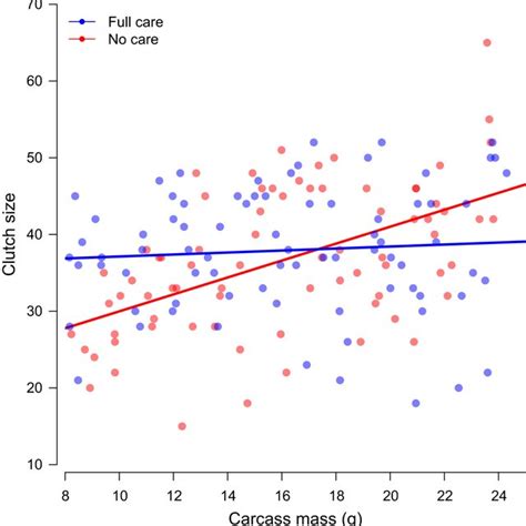 The Relationship Between Clutch Size And Carcass Mass For Females That