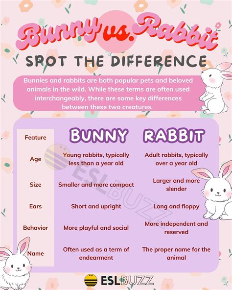 Bunny Vs Rabbit A Guide To Identifying And Understanding These Furry Friends Eslbuzz