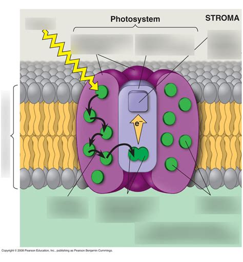 Stroma Diagram