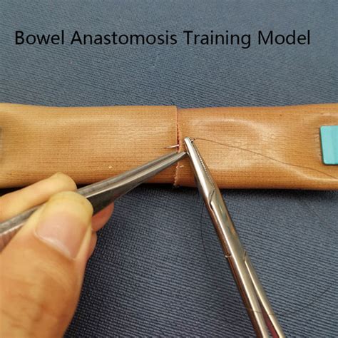 Bowel Anastomosis Training Model Laparoscopic Skill Suture Practice Kit