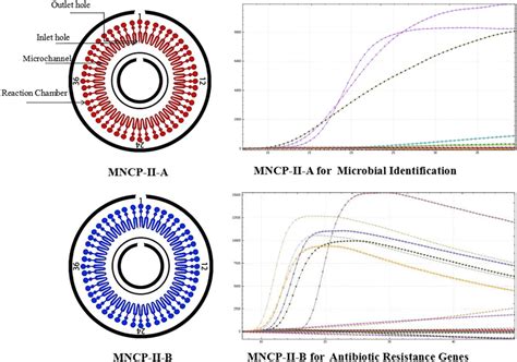 Schematic Diagram Of Mncp Ii Detection The Figure Was Created By