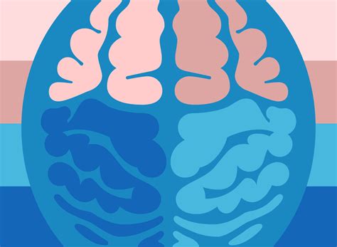 brain behaviour based autism subtypes embrace autism