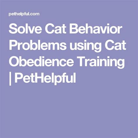Online Cat Training School A Cat Obedience Training Guide Cat