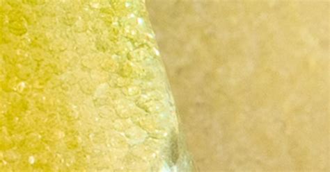 Edulis On Linkedin Ce Quil Faut Savoir Sur Les Microbilles Quil Y A