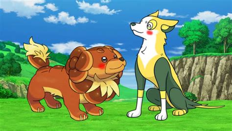 Explore The Best Dachbun Art Deviantart