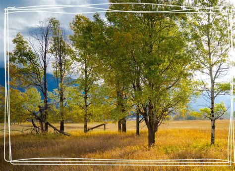 Kootenay Conservation Program Kcp Online