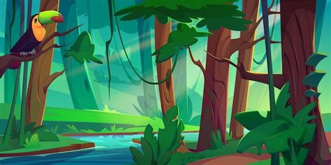Jungle Forest With Winding River And Toucan On Wood Branch Cartoon