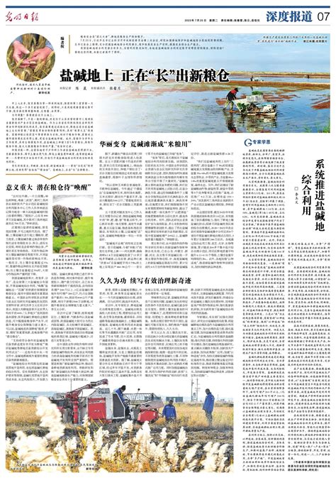 系统推进盐碱地综合利用 光明日报 光明网