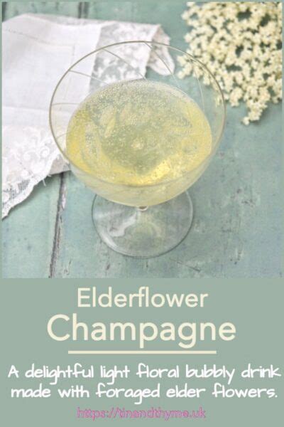 Elderflower Champagne Small Batch Summer Bubbles Tin And Thyme