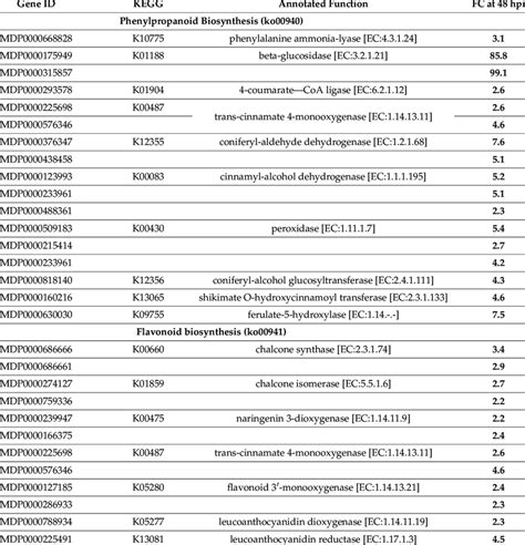 Identified Genes With Annotated Function In Phenylpropanoid And Download Scientific Diagram