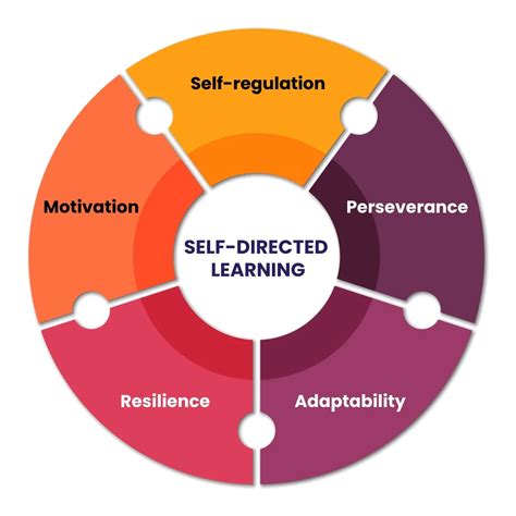 Self Directed Learning What You Need To Know In 2023