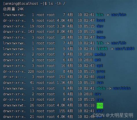 Linux文件和基础命令操作1 Csdn博客
