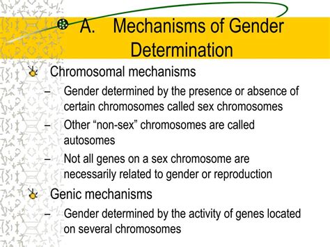 PPT Inheritance Patterns Related To Gender Determination PowerPoint Presentation ID
