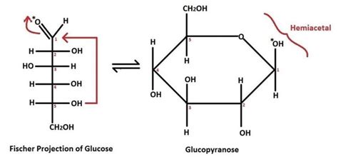 Glucose Ring Structure Formation