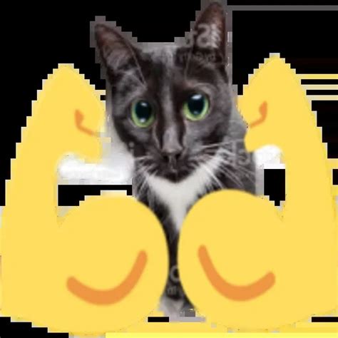 Funny Cat Discord Sticker