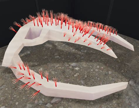 Bone Eating Worms Megaquarium Wiki Fandom