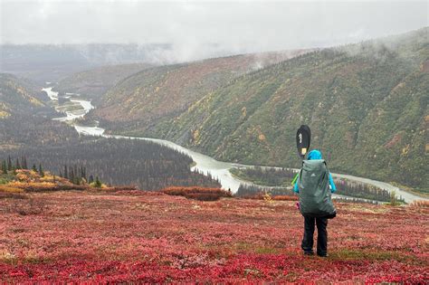 Alaska Range And Fall The Best Drives To See Fall Colors In Alaska