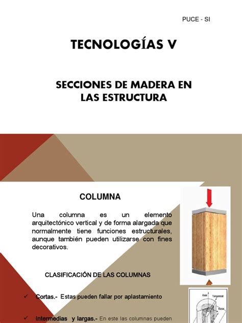 Secciones De Madera En Las Estructura Pdf Braguero Mecánica
