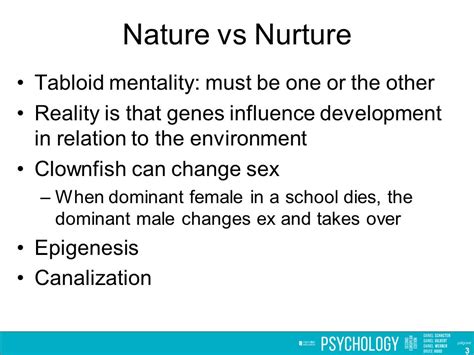 Chapter 11 Cognitive Development Slides Prepared By Randall E Osborne