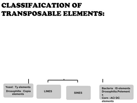 Is Elements Transposons Final Ppt