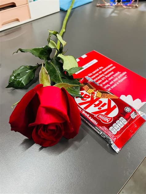 Thinzar Aung On Linkedin Happy International Womens Day To The