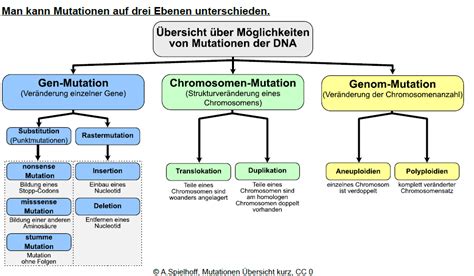 Mutationen