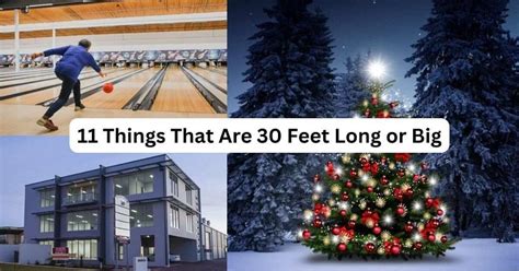 How Big Is 30 Feet Comparing It To Everyday Objects