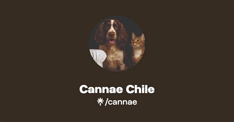 Cannae Chile Linktree