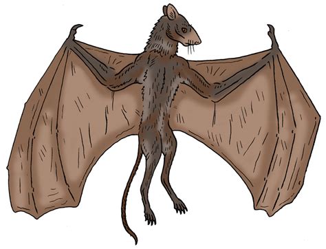 King Kong Bats At Wayne Calvert Blog