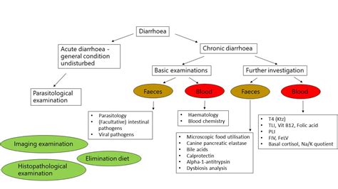 Acute Or Chronic Diarrhoea ‒ When To Use Which Diagnostics