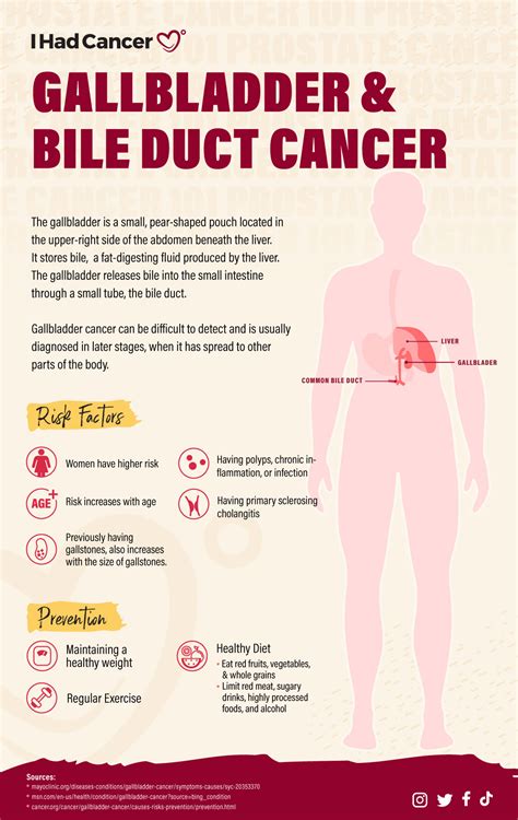 Gallbladder And Bile Duct Cancer 101 Ihadcancer