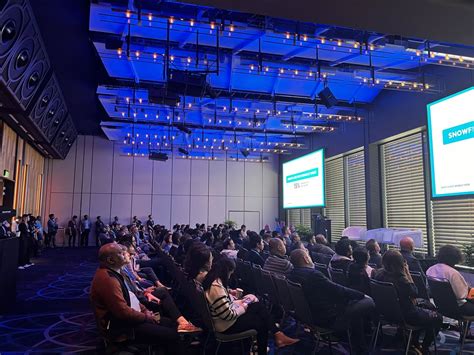 Snowflake Dcwt Louis Lee