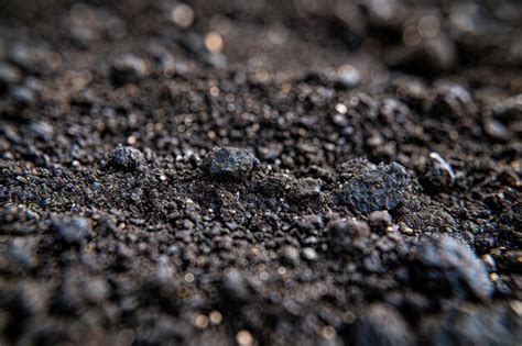 A Packed Dense Dirt Texture Premium Ai Generated Image