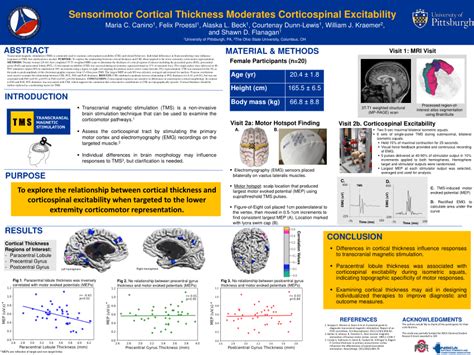 Pdf Sensorimotor Cortical Thickness Moderates Corticospinal Excitability