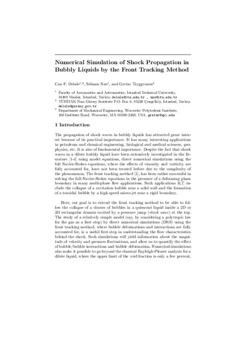 Pdf Numerical Simulation Of Shock Propagation In Bubbly Liquids By The Front Tracking Method