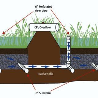Detail Of Bioretention Best Management Practice Illustration Ming Han