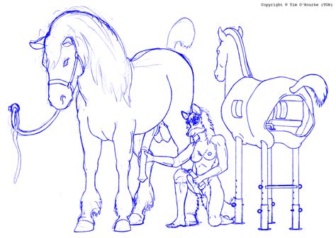 Rule 34 Anatomically Correct Anatomically Correct Genitalia