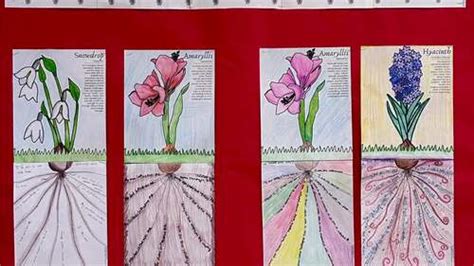 My Roots Creative Writing Art Project Back To School All About Me