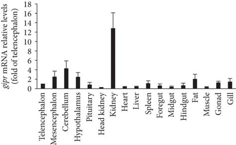 Analysis The Expression Pattern Of Gipr In Grass Carp A Tissue Download Scientific Diagram