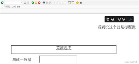 Adobe Form不能在sap Gui上预览解决方案sap打印预览 不显示 Csdn博客