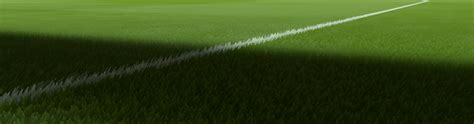 Fifa Grass Texture