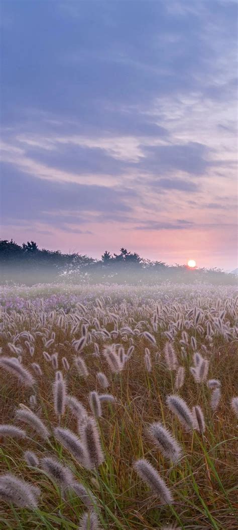 可爱风景壁纸 堆糖，美图壁纸兴趣社区