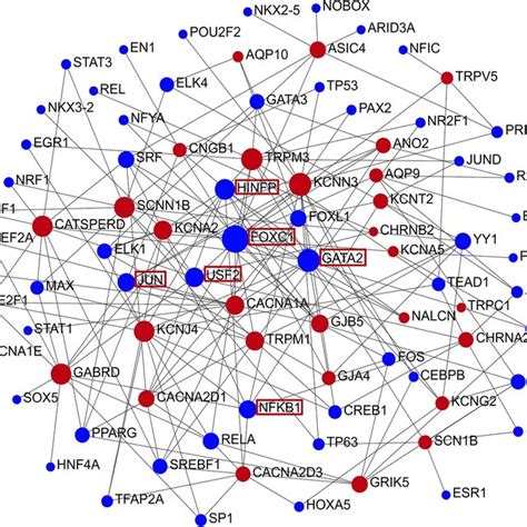 Pathway Enrichment Analysis Bar Plot Of Degs Obtained By Enrichr Web