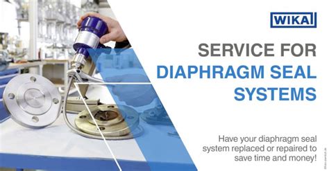 Basma Selim On Linkedin Wikaservices Processindustry Oilandgas