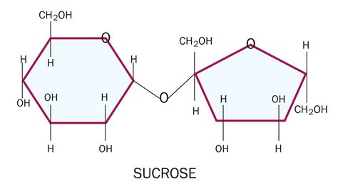 Sucrose Non Reducing Sugar