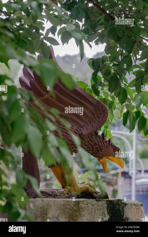 Great Statue Of Brown Eagle Behind The Green Foliage For Decoration