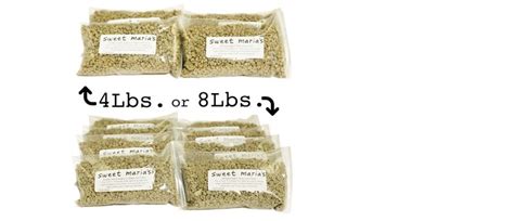 Green Coffee Sample Set Regular